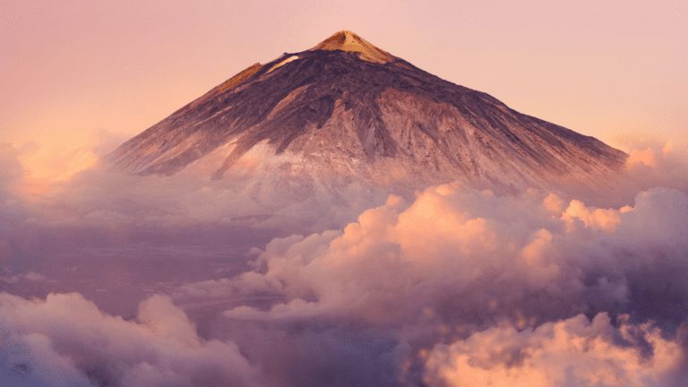 Award-Winning Managed IT and Cyber Solutions – Acora